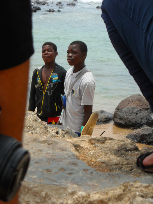 Spend Matters, The Sentry, electronic companies using DRC coltan ...